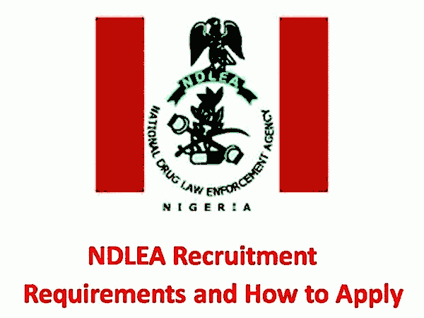 Apply for NDLEA Job Recruitment 2023 – Gistcore media