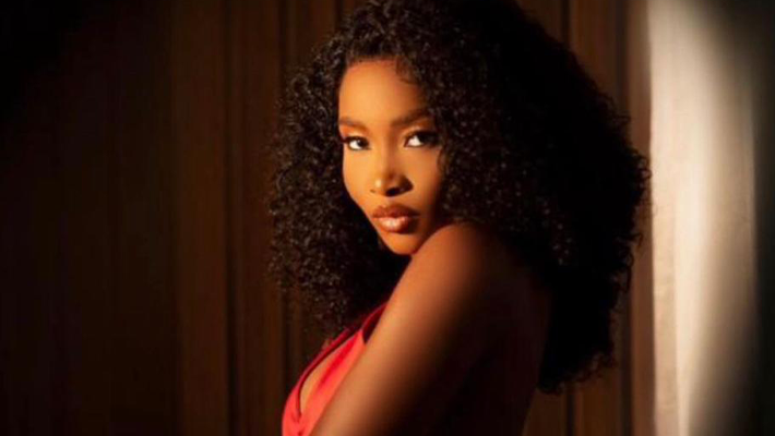 Ilebaye Wins BBNaija All-Stars Edition, Pockets N120 Million Grand ...