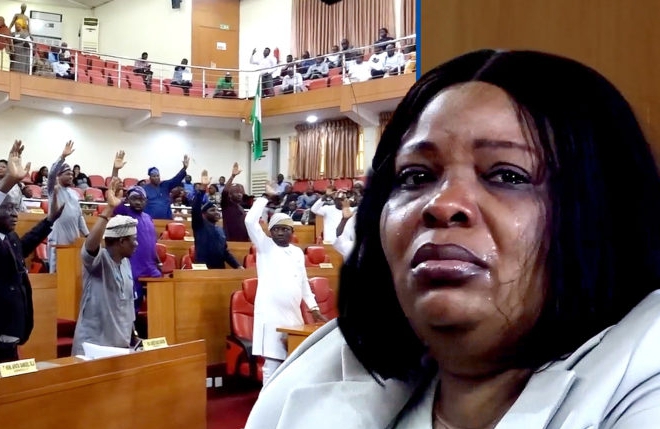 Lagos Assembly: Battle for Speakership Heats Up as Meranda Plans Exit ...